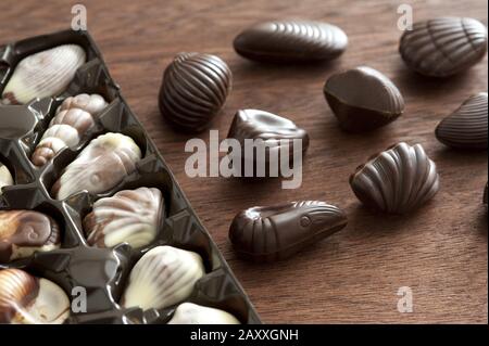 assorted praline chocolate in a seashell over white background with ...