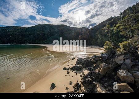 Sandy beach beach of Stillwell Bay, Abel Tasman National Park, Tasman ...