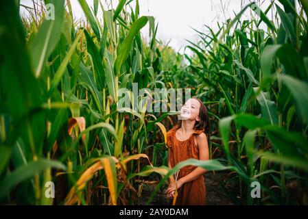 Girl in a corn field Stock Photo - Alamy