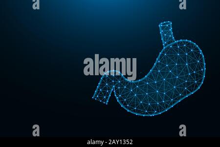 stomach on dark background. Human body anatomy. x-ray blue realistic ...
