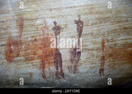 Old rock paintings of the San, indigenous people of South Africa ...