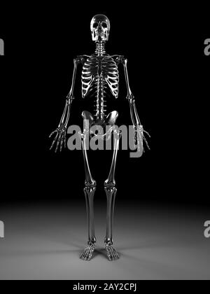 3d rendered illustration - metal skeleton Stock Photo - Alamy