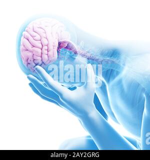 depression illustration - visible anatomy Stock Photo - Alamy
