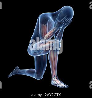 depression illustration - visible anatomy Stock Photo - Alamy