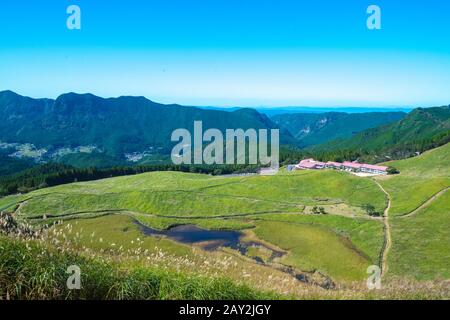 A green hill covered with Japanese pampas grass. Soni highland, Nara ...