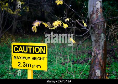 Caution Max Headroom sign Stock Photo - Alamy