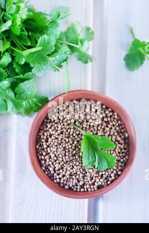 many Dried coriander fruits Stock Photo - Alamy