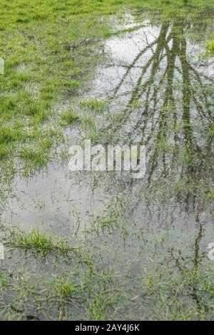 Waterlogged ground An area of water saturated countryside following ...
