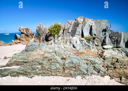 Tropical island vegetation against blue sky Stock Photo - Alamy