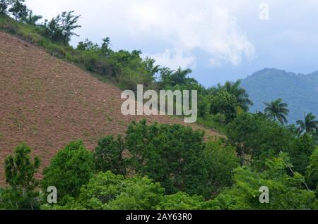 Forest logging and overgrazing causes slope erosion at the foothills of ...