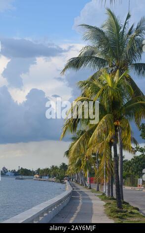 Cienfuegos Bay (Cuba), a rich estuarine ecosystem suffering from ever ...