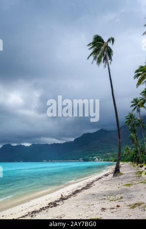 Temae Beach, Moorea, Society Islands, French Polynesia Stock Photo - Alamy