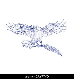 Raven Carrying Quill Drawing Stock Photo - Alamy