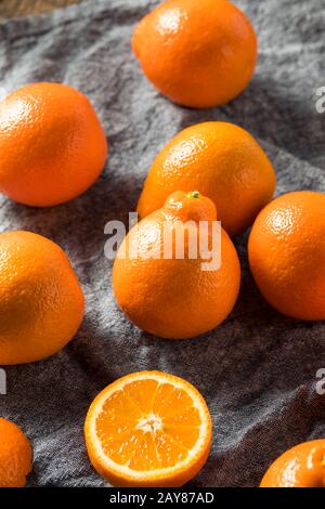 Raw Orange Organic Mineola Tangelo Fruit Ready to Eat Stock Photo - Alamy