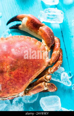 Overhead view of cooked crab on upper border of natural slate Stock ...