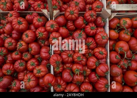 Ox heart tomatoes in boxes at a market Stock Photo - Alamy