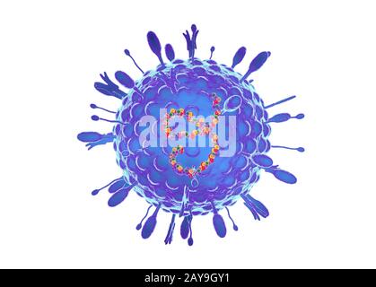 Human parainfluenza virus, illustration Stock Photo - Alamy