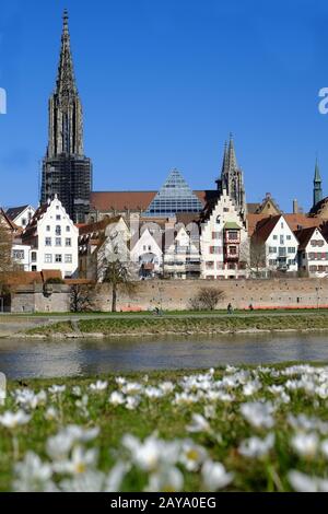 Ulm, Central Library and Minster Stock Photo - Alamy