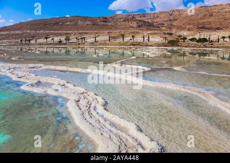 Dead Sea. Evaporated salt Stock Photo - Alamy