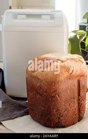 Household appliances: electric oven for baking bread at home. The white ...
