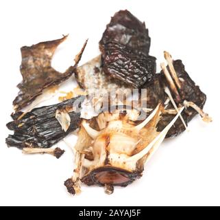 Mackerel fish bones Stock Photo - Alamy