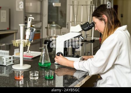 Middle age woman working at scientist laboratory holding money ...