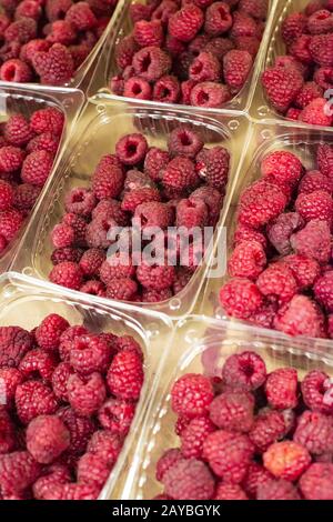 Raspberries on shelf in the market. Sorted fruits in transparent ...