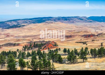 Views of Wind Cave National Park in Summer, South Dakota Stock Photo ...