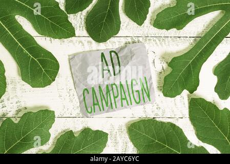 Word writing text Campaign. Business concept for organized course of ...