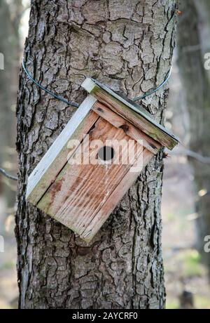 A bird feeder hangs on a tree in the village yard Stock Photo - Alamy