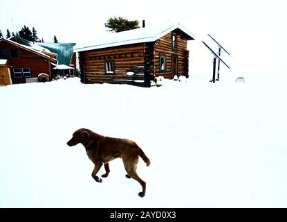 Solar Panels Saskatchewan Stock Photo - Alamy