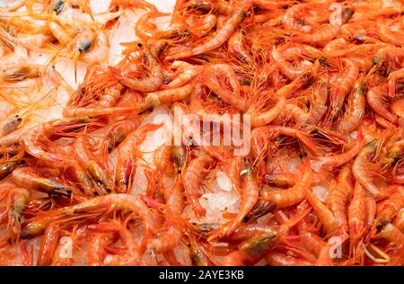 Fresh red prawns at the fish market Stock Photo - Alamy