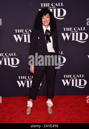 HOLLYWOOD, CA - FEBRUARY 13: Bahia Watson attends the Premiere of 20th ...