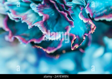 Retro art, vintage card and botanical concept - Abstract floral ...