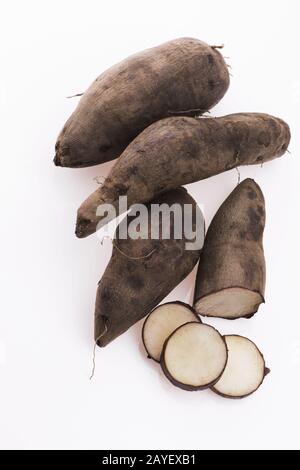Fresh whole organic Yacon roots Stock Photo - Alamy