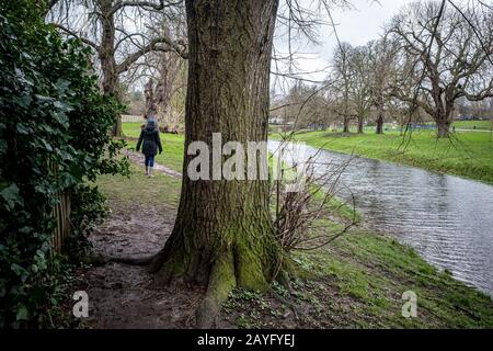 A woman looking at the flooding in Carshalton Park, Wallington Stock ...