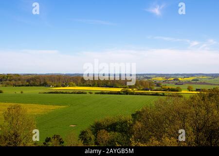 A Scanian (Southern Sweden) landscape filled with fields of green, gold ...