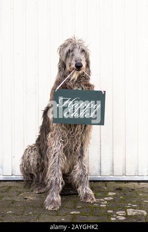 Text sign showing Happy Easter Sunday. Business photo text Greeting ...