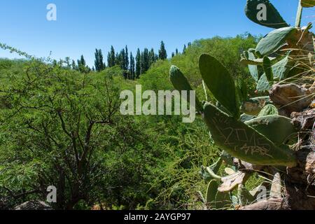 Irrigation canals in the oasis town of Toconao near San Pedro de ...