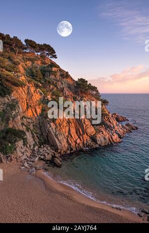 CALA ES CODOLAR BEACH TOSSA DE MAR COSTA BRAVA CATALONIA SPAIN Stock ...