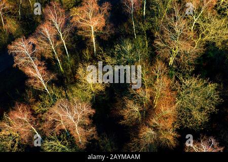 valley of Viroin, aerial view, Belgium, Ardennes, Dourbes, Viroin Stock ...