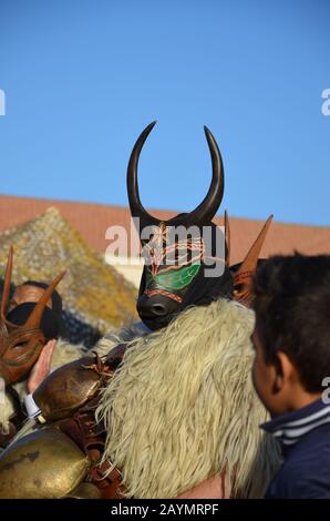 Mamoiada, Sardinia. Mammuthones traditional carnival Stock Photo - Alamy