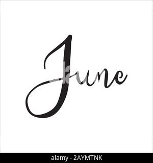 June Calligraphy Lettering Day Month Vector Brush Illustration Stock ...