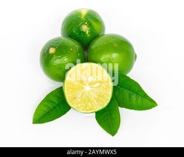 Three homegrown whole Asian limes with slice cutout and green leaves ...