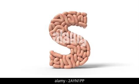 human brain in shape of letter T. suitable for brain, biology, medicine ...