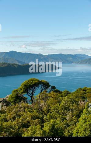 Fjords landscape of the Marlborough Sounds of the South Island in New ...