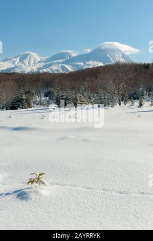 Shiretoko Mountain Range on the Shiretoko Peninsula. Shiretoko National ...