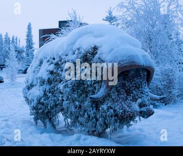 The City Hall in Yellowknife, Northwest Territories, Canada Stock Photo ...