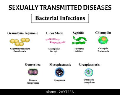 Syphilis, spirochaete, Treponema, Gonococcus, Gonorrhea, Chlamydiosis ...