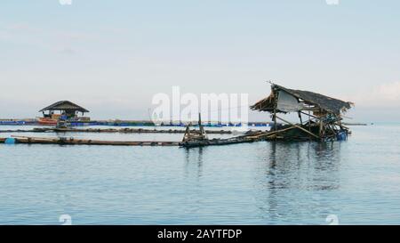 Banay Banay, Davao Oriental, Philippines - March 2016: A farmer plows ...